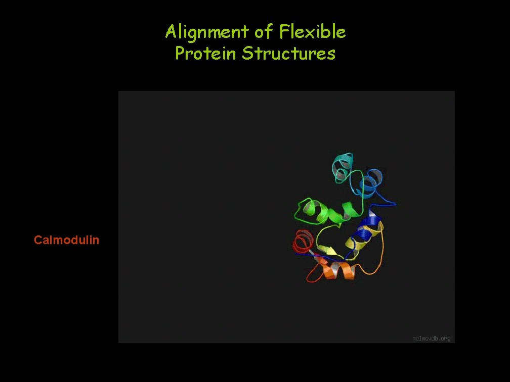Alignment of Flexible Protein Structures Calmodulin Motivation Proteins