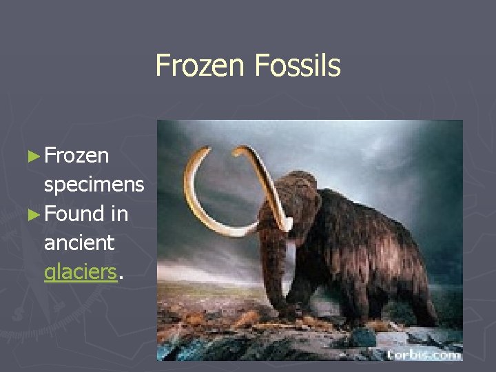 Fossils How to tell time with rocks Looking