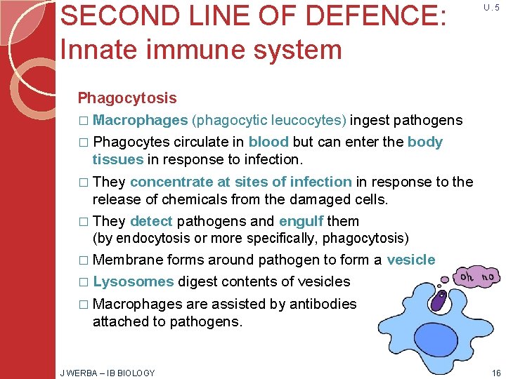 DEFENCE AGAINST INFECTIOUS DISEASE The human body has