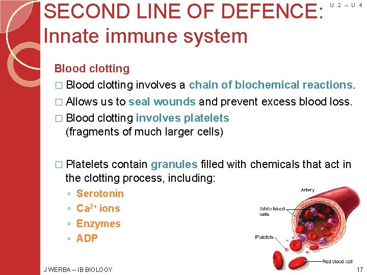 DEFENCE AGAINST INFECTIOUS DISEASE The human body has