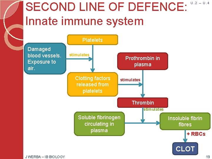 DEFENCE AGAINST INFECTIOUS DISEASE The human body has