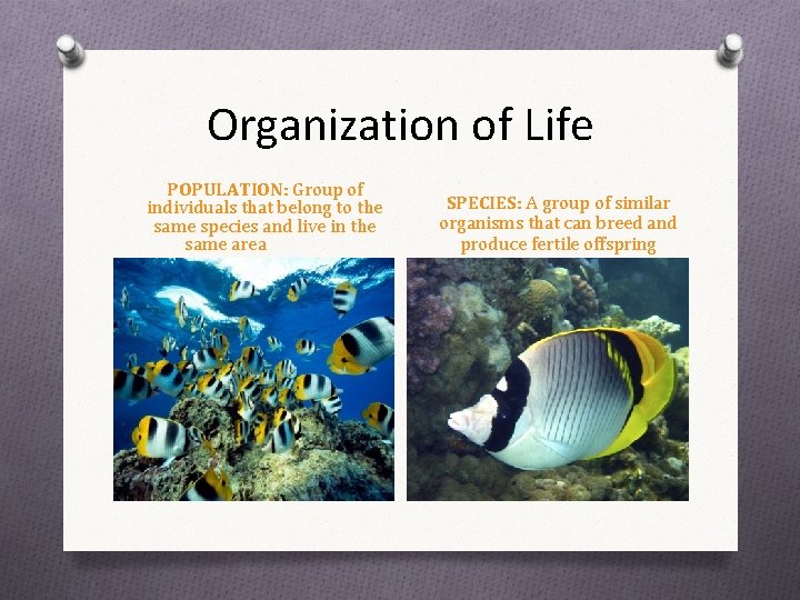 Introduction to Biology Before We Begin A short