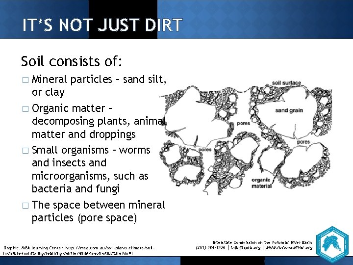 SOIL BASICS Whats going on under our feet