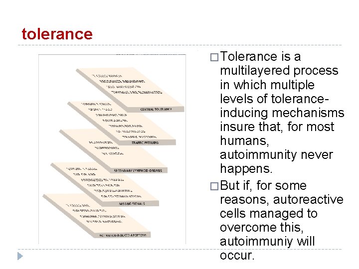 Introduction to immunology Mohammad Qussay AlSabbagh 3 rd
