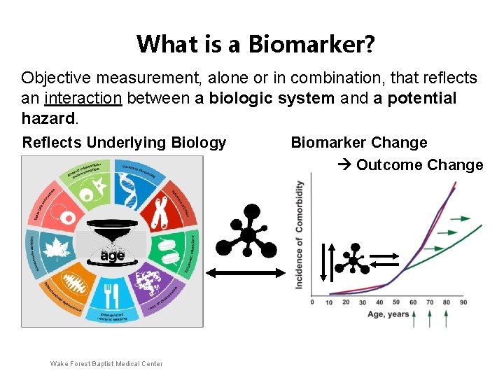 A Framework for Biomarkers of Aging in Clinical