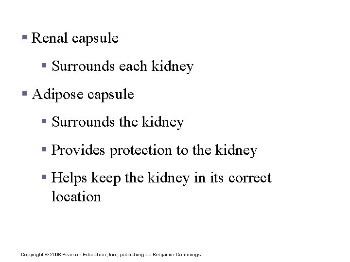 15 The Urinary System PART A Power Point