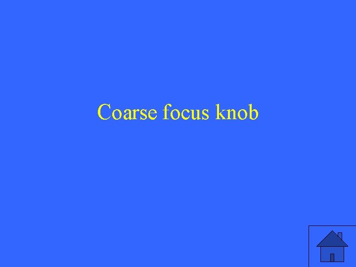 Genetics Vocab Gregor Mendel Parts Pot Luck Plants