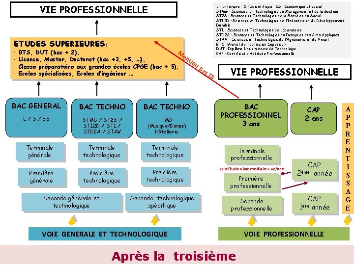 VIE PROFESSIONNELLE ETUDES SUPERIEURES M BTS DUT bac