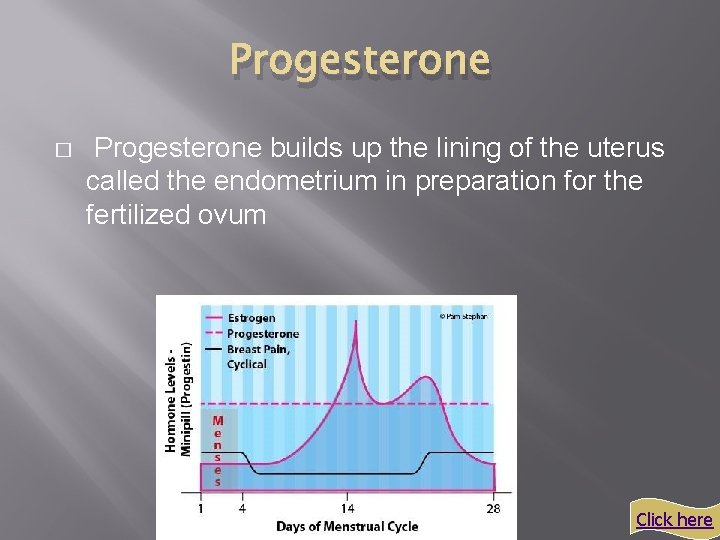 HUMAN REPRODUCTION ENTRY TASKSKETCH AND LABEL THE MALE