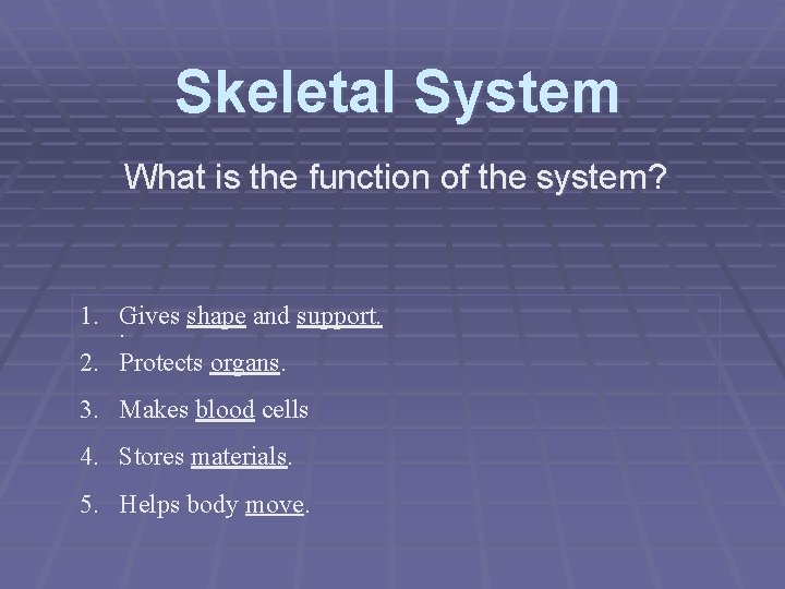 Skeletal System What is the function of the