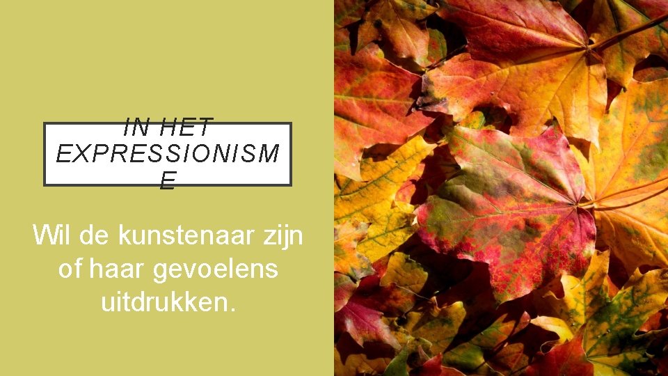 EXPRESSIEF TALENT Module B Hoe is het gegaan