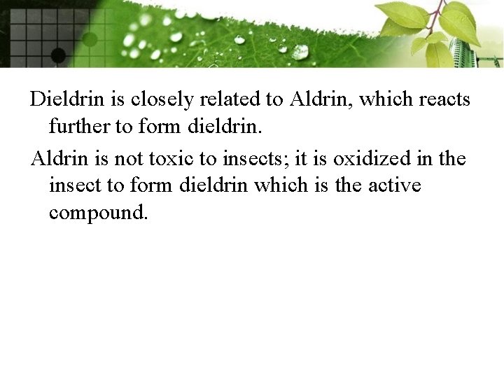 DIELDRIN Pesticide Ocbina Jackielyn B Macuja John Carlo