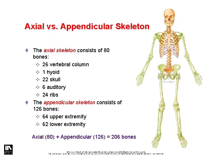 Exercise Science Section 2 The Skeletal System An