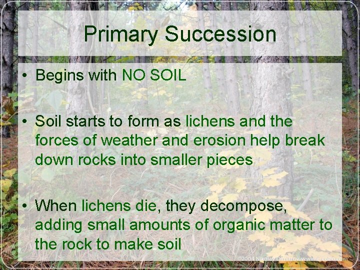 Changes in Ecosystems Ecological Succession Definition The natural
