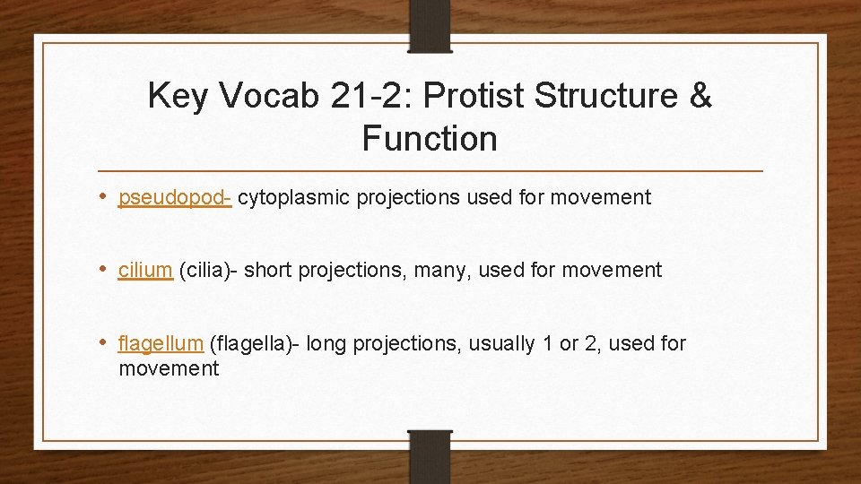 Chapter 21 Protists Fungi 21 1 Kingdom Protista