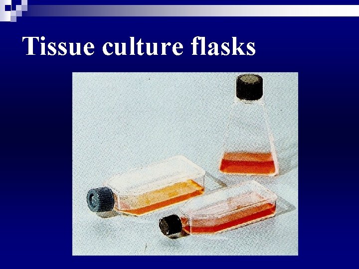 Practical Virology Lab 3 B Inoculation of clinical