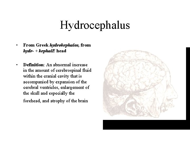 Hydrocephalus From Greek hydrokephalos from hydr kephal E
