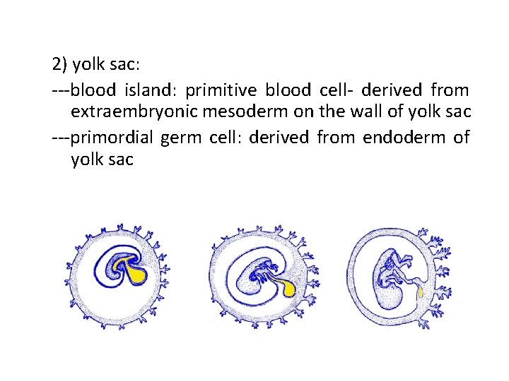 The development of fetal membranes and placenta 1
