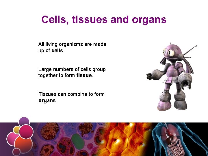 Cells tissues and organs All living organisms are
