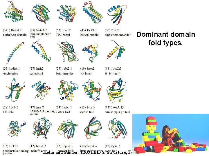 A brief on Domain Families Classification Classification to