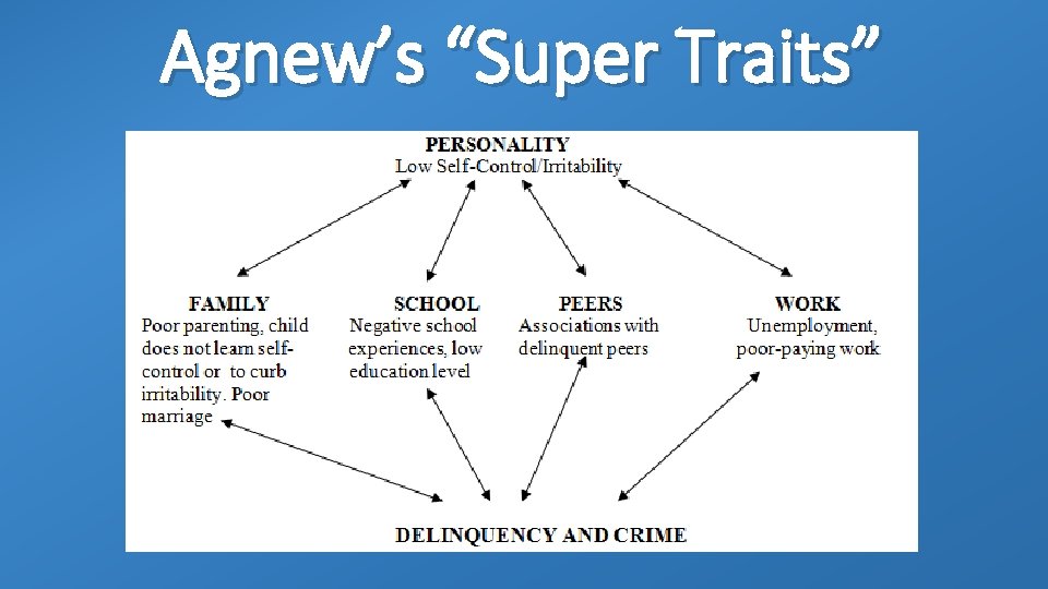 Developmental Theories CHAPTER 11 CJ 450 D Learning