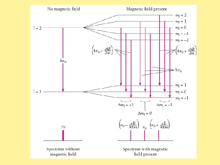 ZEEMAN EFFECT How atoms interact with a magnetic