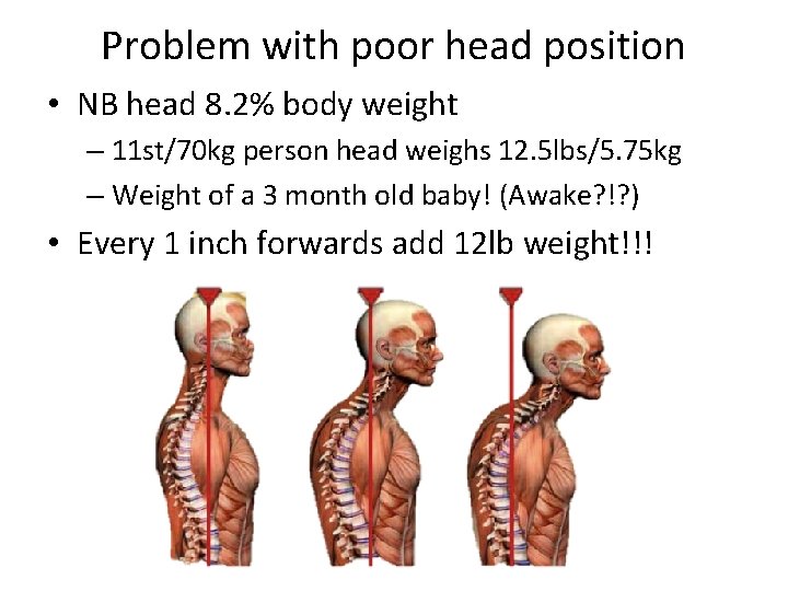 Lateral and Anterior neck muscles Poor head position
