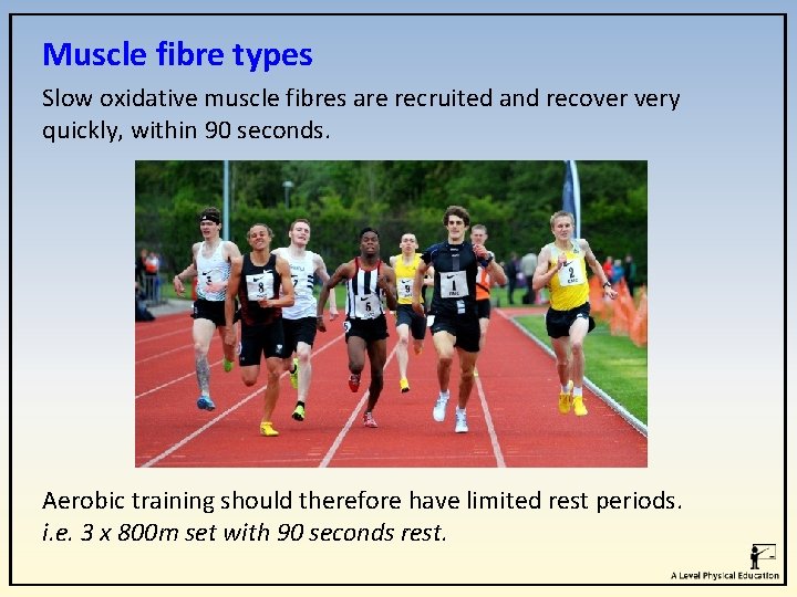 3 1 1 4 Neuromuscular system Learning objectives