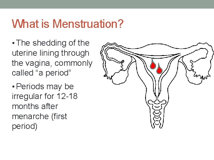 MENSTRUATION PREGNANCY CHILDBIRTH LESSON 14 DO NOW What
