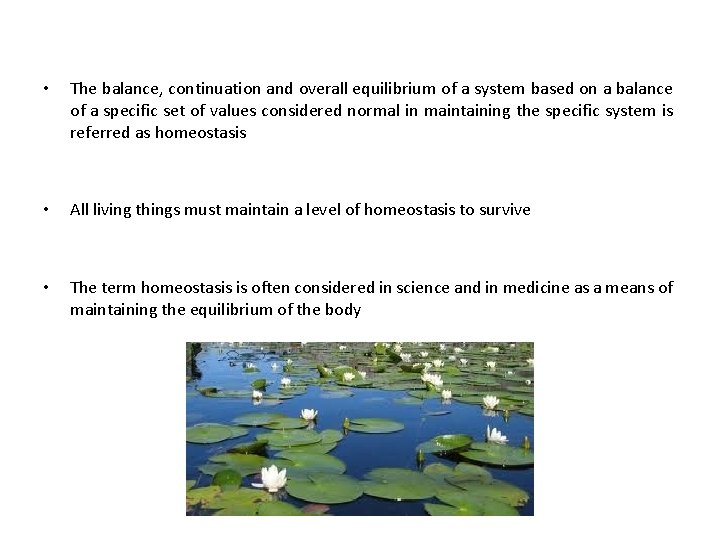 FRESHWATER ENVIRONMENT The balance continuation and overall equilibrium