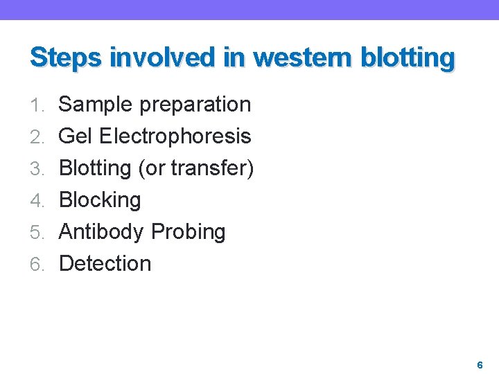 WESTERN BLOTTING Lab 7 Introduction Blotting is a