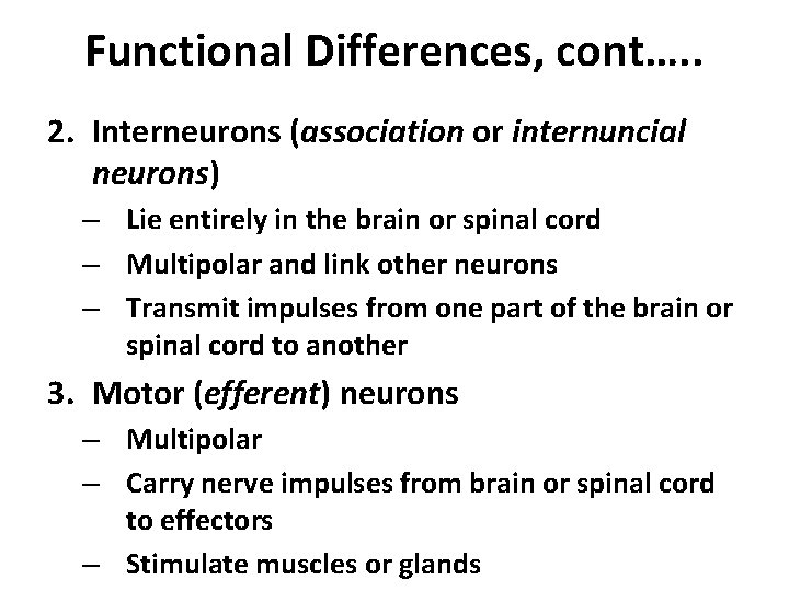 Neurons Vary in size and structure but have