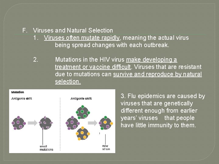 VirusesBacteriaProtistsFungi Unit 5 Module 12 I Is a
