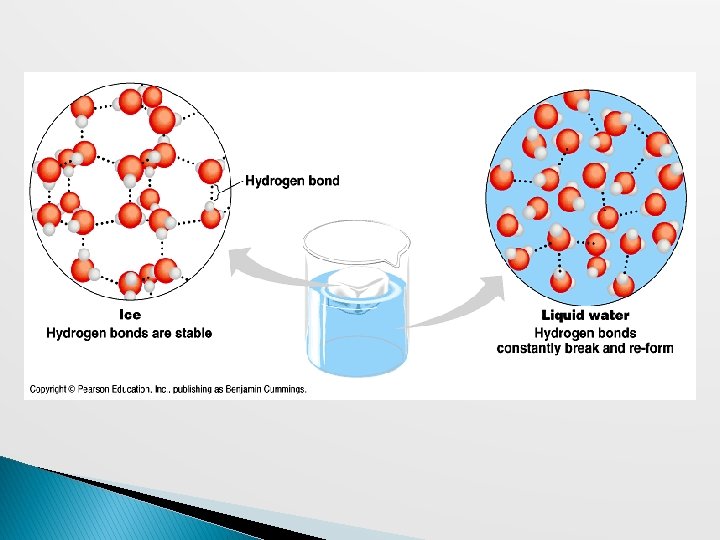 Unit 2 Biochemistry 2 3 Water and Life