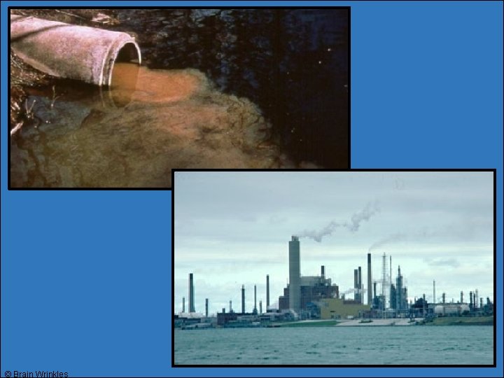 Canadas ENVIRONMENTAL ISSUES Presentation Graphic Organizers Activities ...