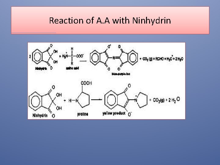 Lab Activity 1 Qualitative Tests for Amino Acids