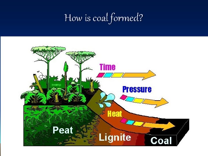 Brainstorm What are 5 ways you use energy