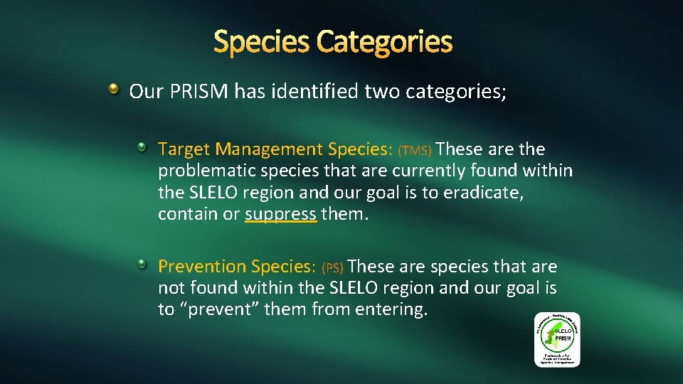 Invasive Species in the St Lawrence Eastern Lake