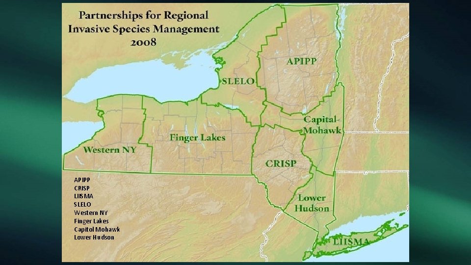 Invasive Species in the St Lawrence Eastern Lake