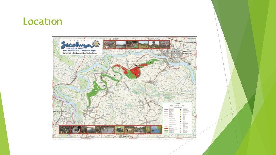 Special Nature Reserve Zasavica Serbia Slobodan Simi Nature