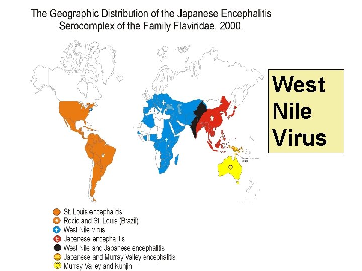 Diffusion The movement spread and distribution of a