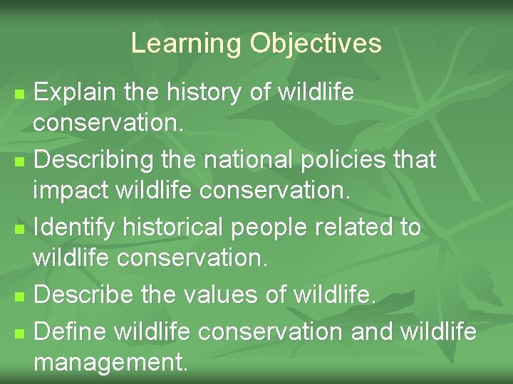 Lesson Exploring the History and Importance of Wildlife