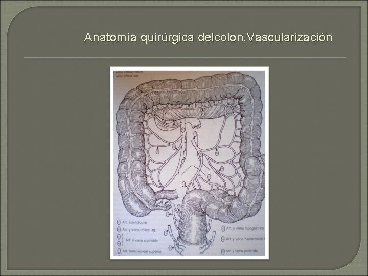 SEMIOLOGIA RADIOLOGICA DE LOS CAMBIOS POSTQUIRURGICOS EN LA