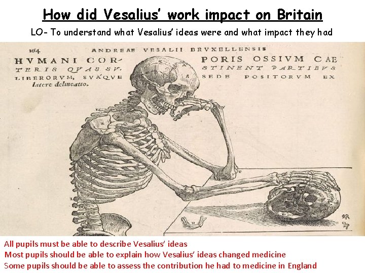 How did Vesalius work impact on Britain LO
