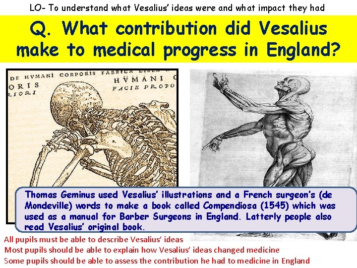 How did Vesalius work impact on Britain LO