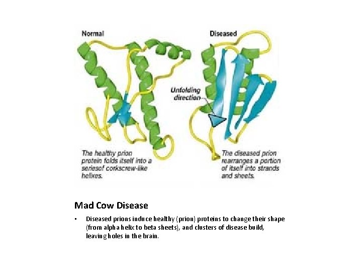 Food Safety and Technology Microbial Threats and Genetic