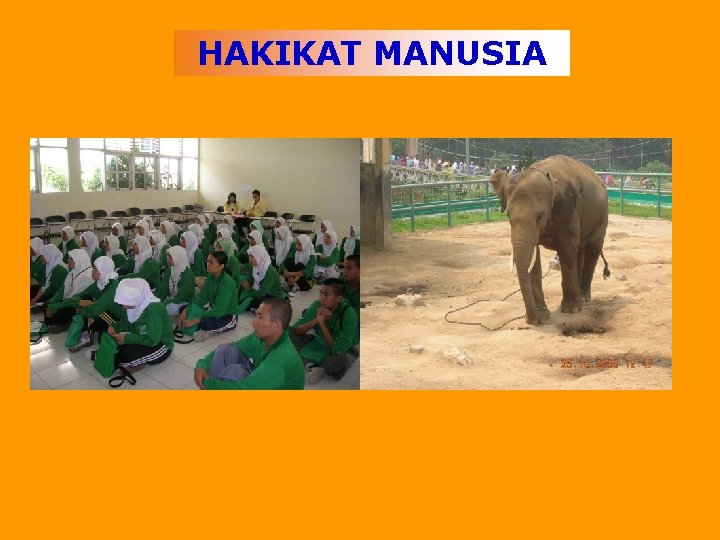 HAKIKAT MANUSIA HAKIKAT MANUSIA Perbedaan Manusia dan Hewan