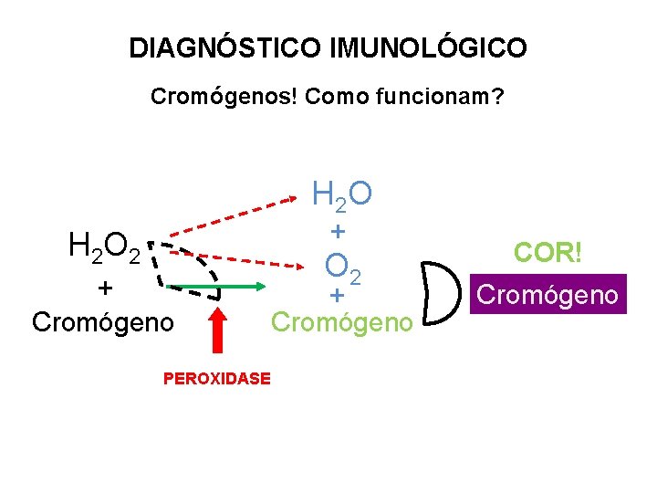 Tcnicas Laboratoriais Aplicadas no Diagnstico e Acompanhamento Clnico