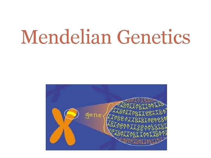 Mendelian Genetics Inheritance For a long time general