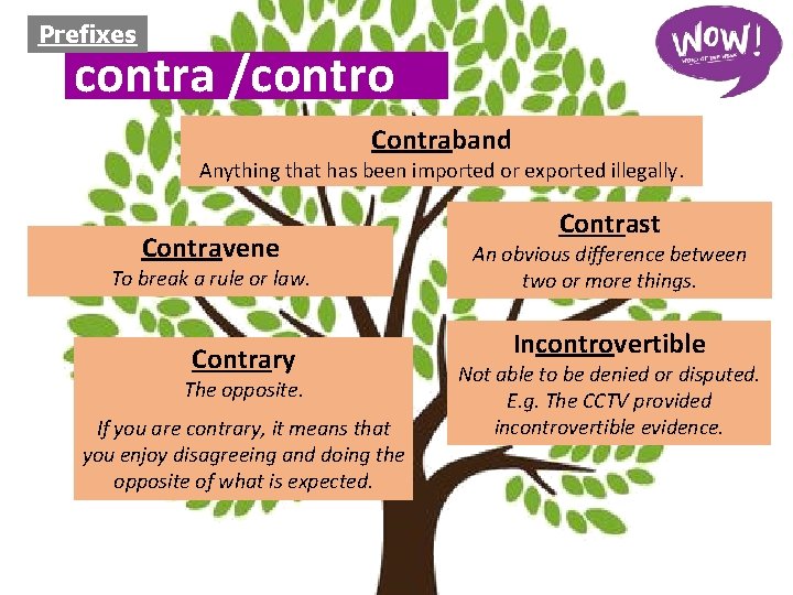 w b 10 th February 2020 Controversy Can